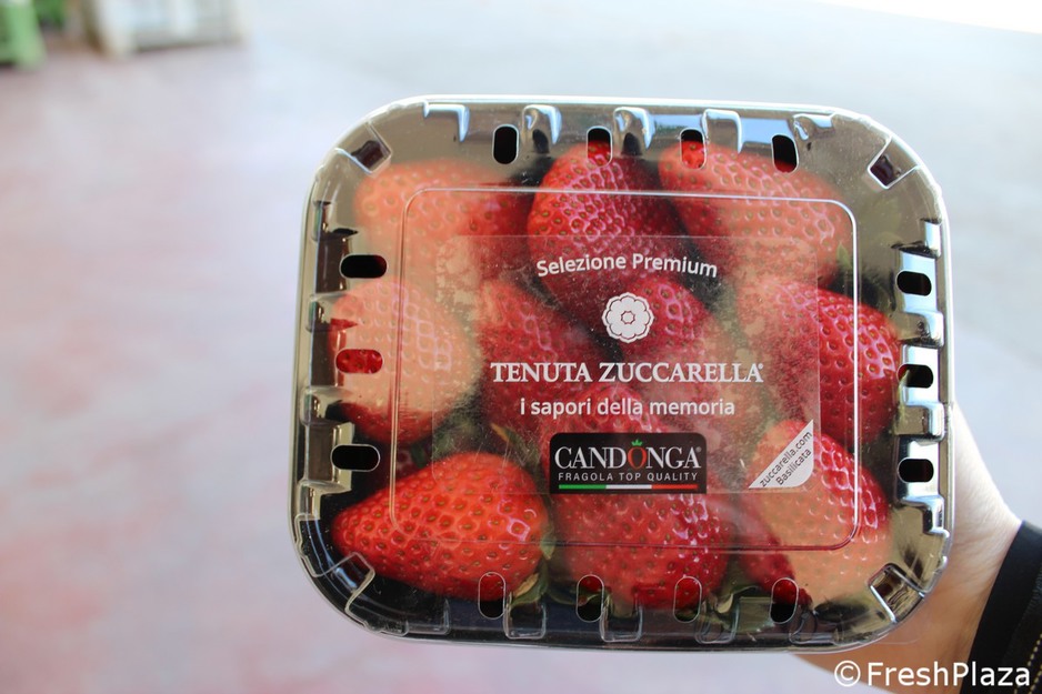 "A transparent label to highlight Inspire and Sabrosa Candonga ...