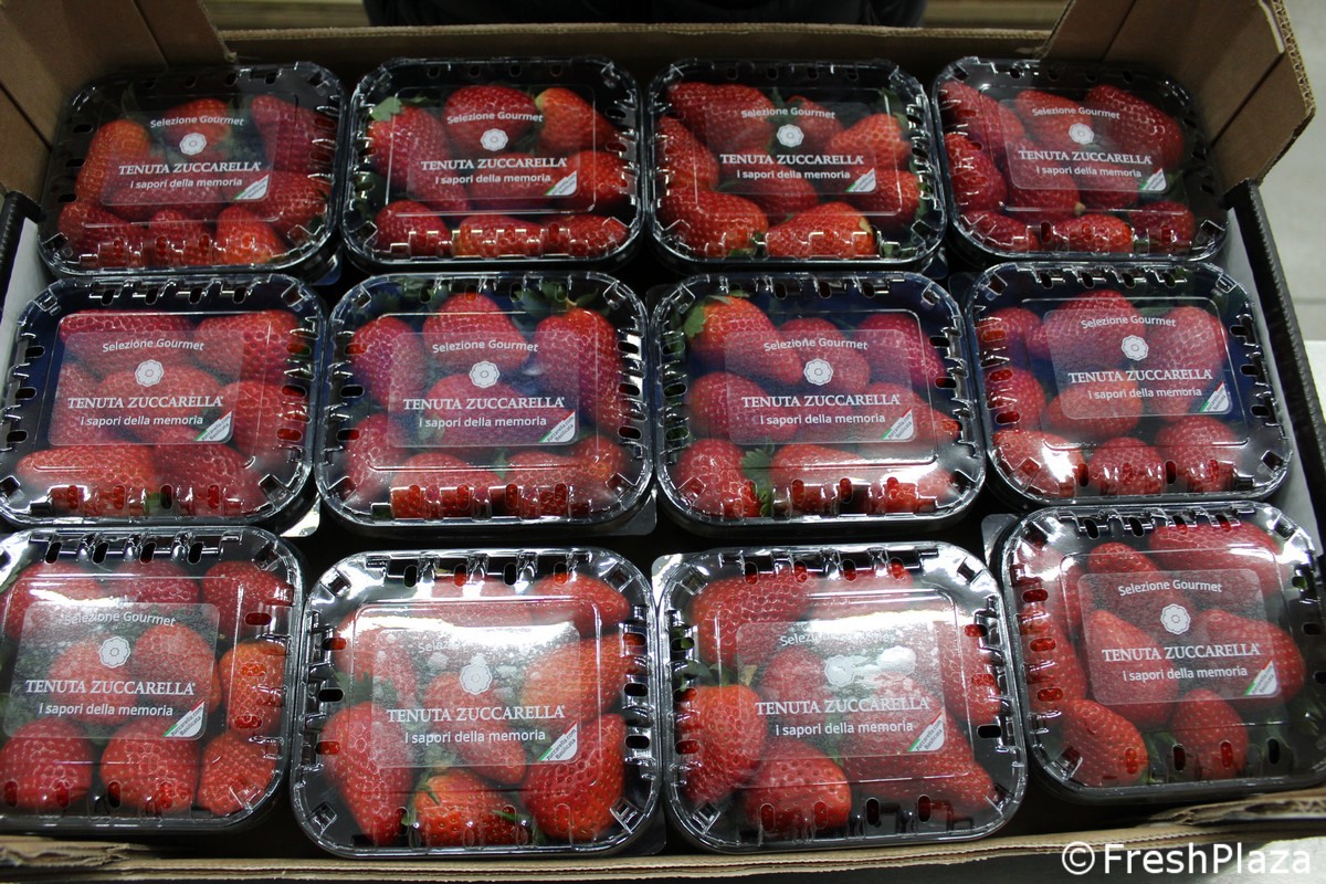 "A transparent label to highlight Inspire and Sabrosa Candonga ...