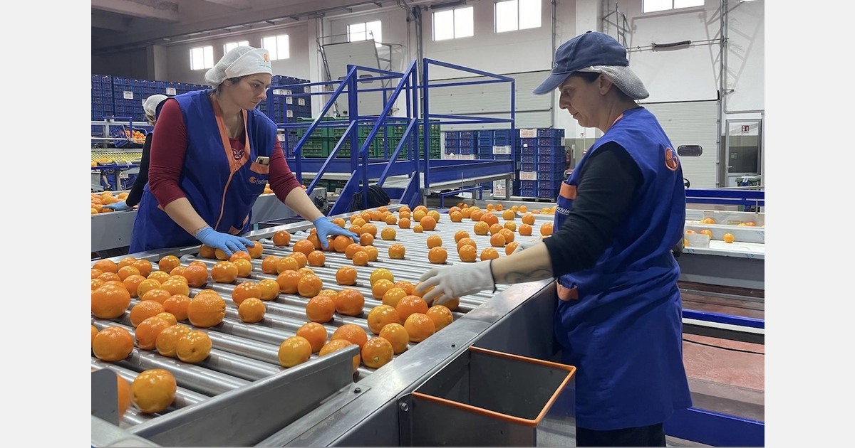 "We're able to compete thanks to the Italian consumer, who appreciates ...