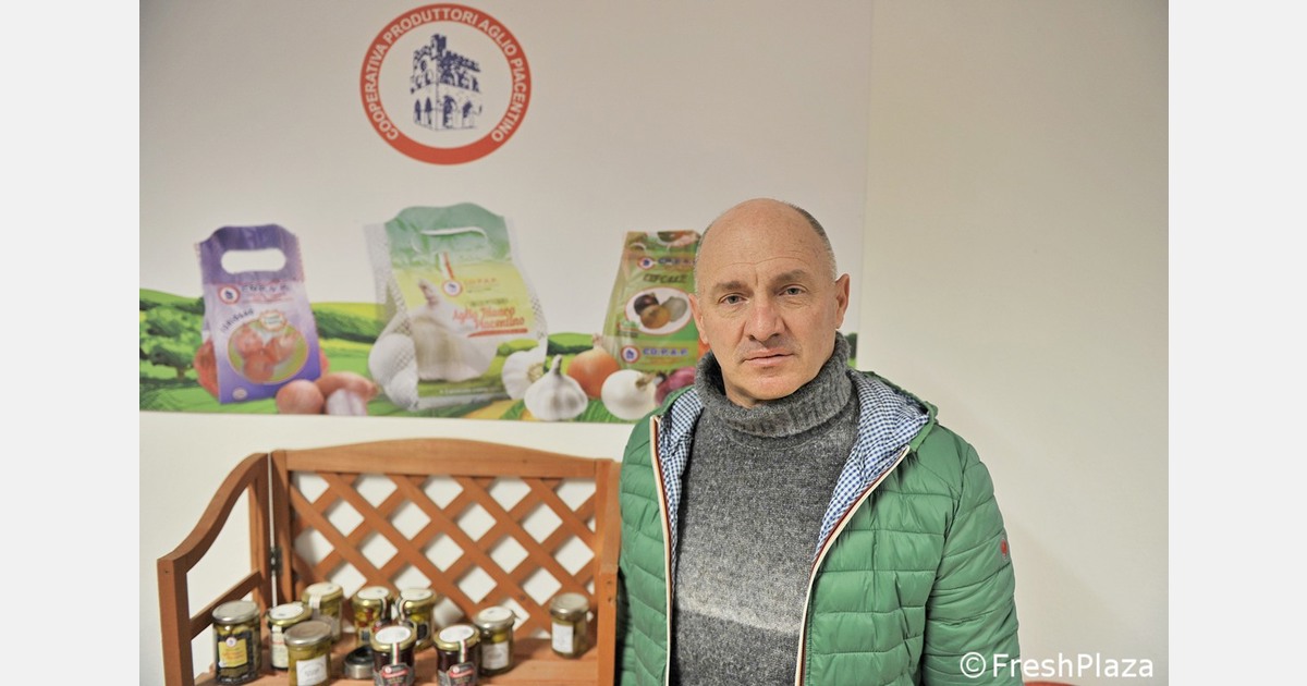 Italian garlic chain at risk due to lack of remuneration