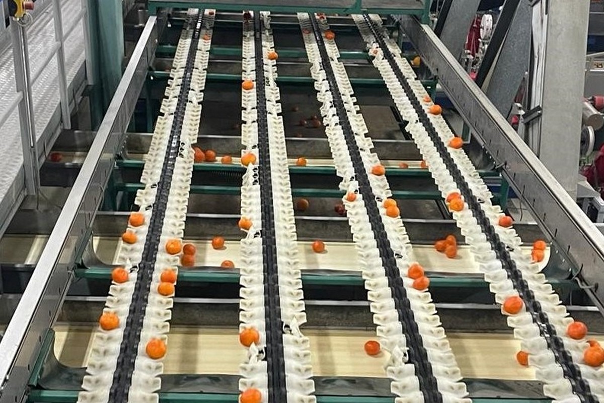 "For sale: refurbished used fruit processing lines"
