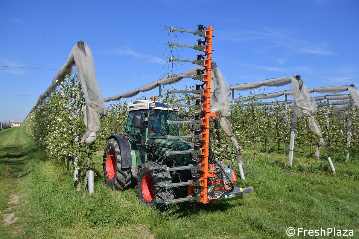 Flower thinning machine that can also be used for pome fruit trees