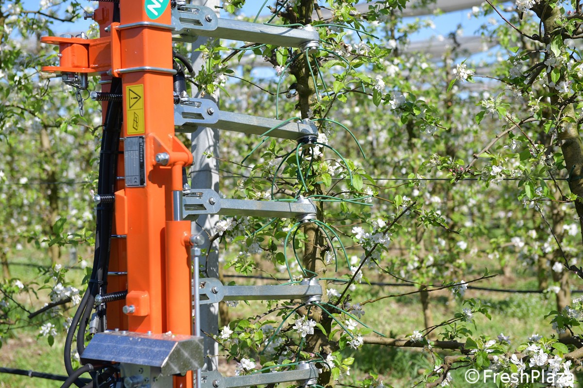 Flower thinning machine that can also be used for pome fruit trees