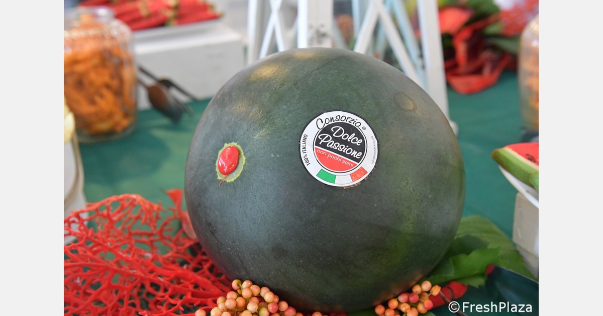 Italian watermelons also in demand abroad