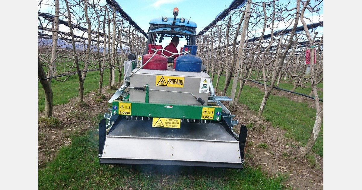Anti-frost machine to prevent fruit from freezing