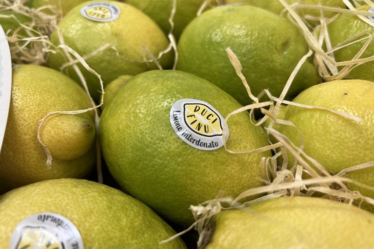 Sicilian Interdonato lemons are taking over the fruit and vegetable counters