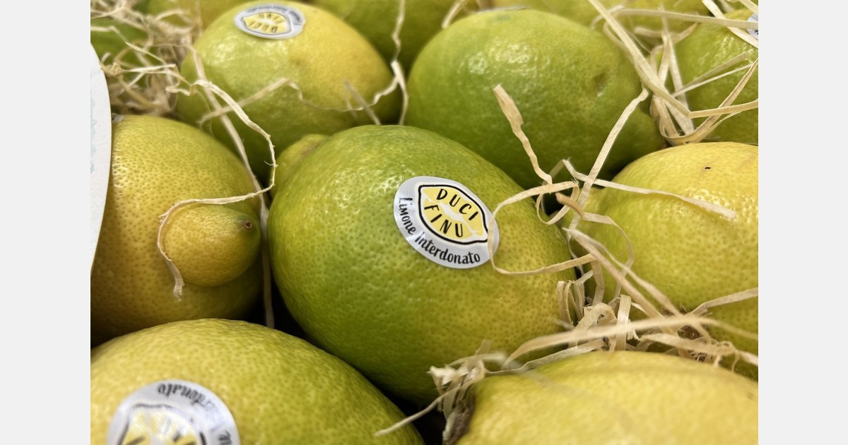 Sicilian Interdonato lemons are taking over the fruit and vegetable counters