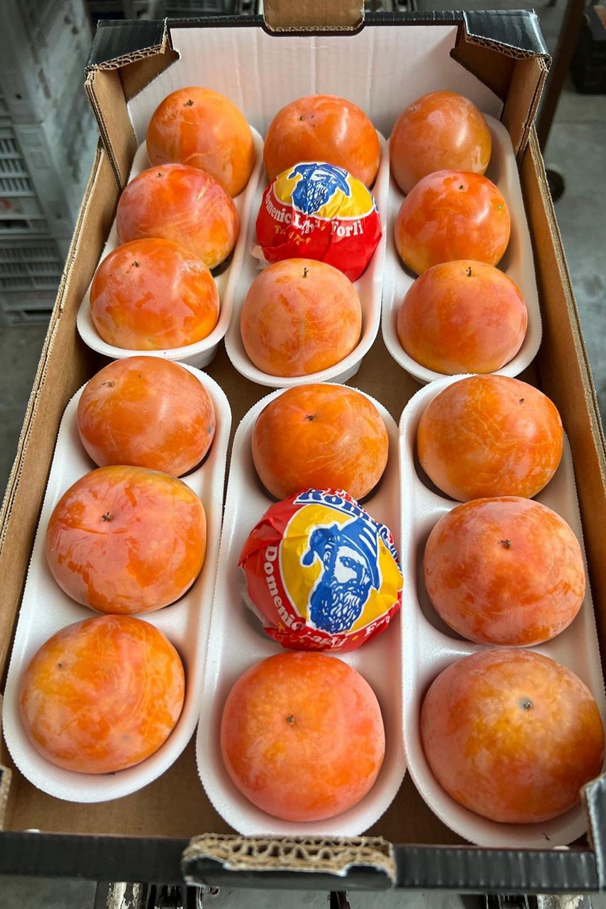 "Prices are good for large-scale retailers, but wholesalers are struggling"