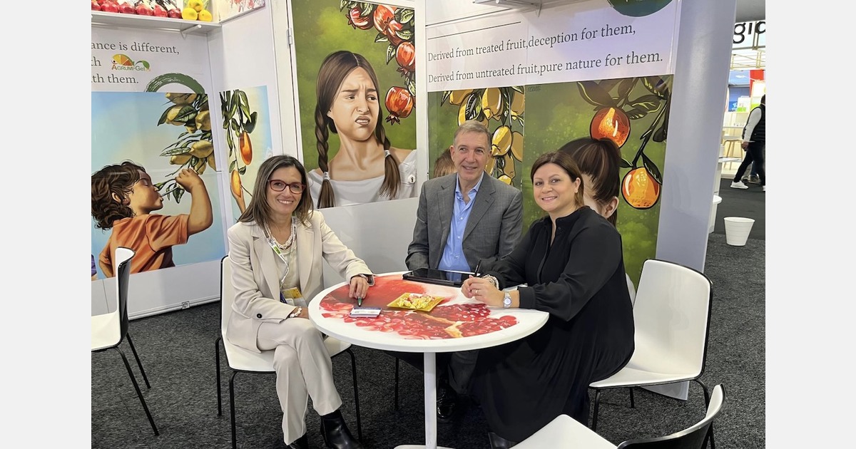 An artistic stand to represent healthy fruit chains