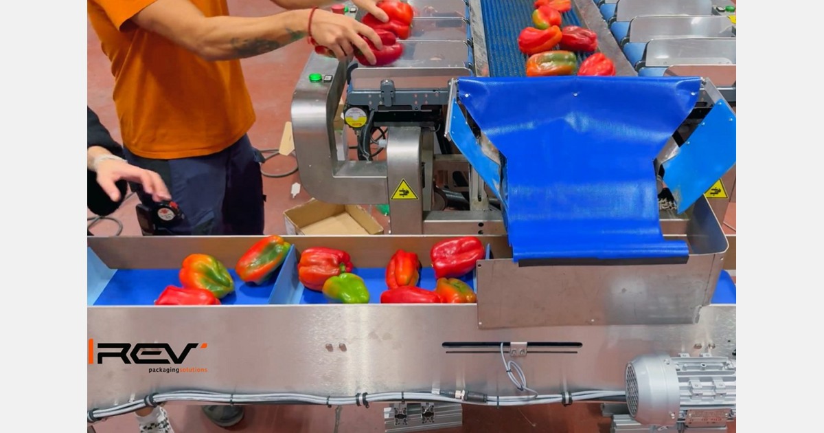 Automatic horizontal clip netting machine fed by weigher