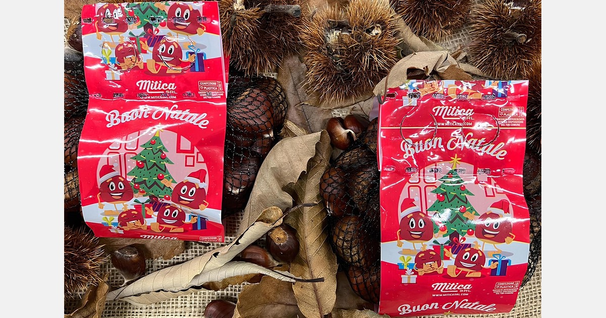 Italian chestnuts and marrons in Christmas packaging