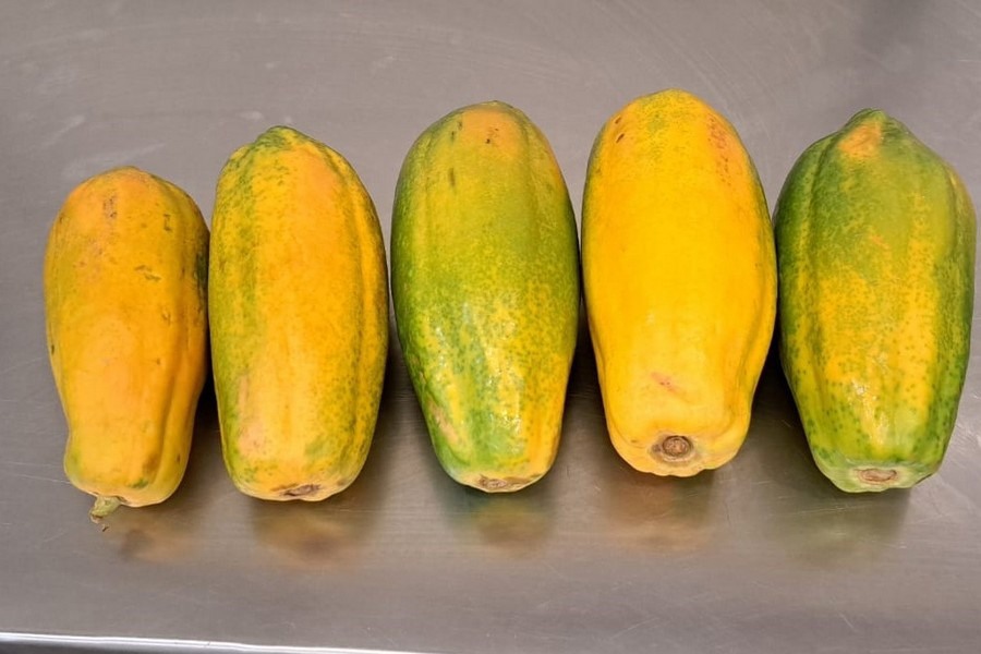 "Given the low consumption at the moment, there will be no shortage of ...