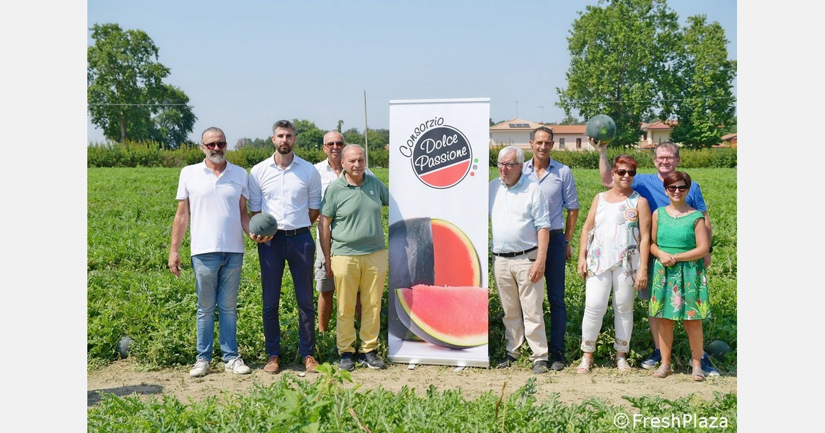 "We will bring the hectares dedicated to seedless, black-skinned ...