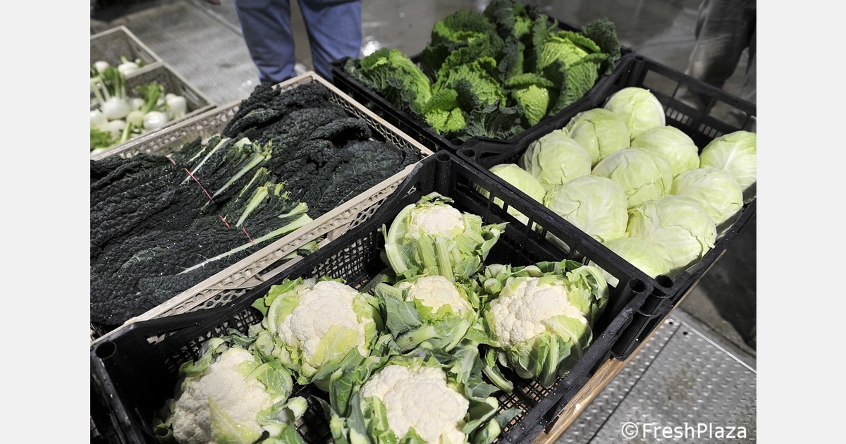 "Bulk vegetables had a discrete sales rate during the holidays"