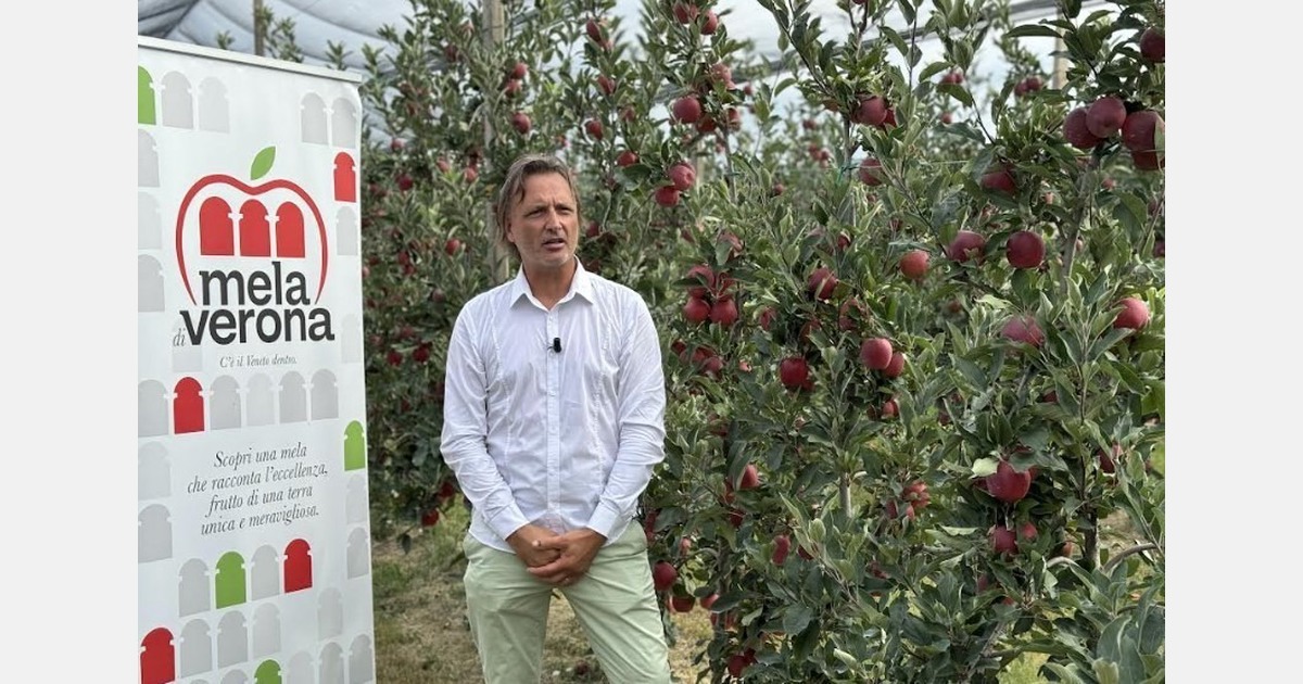 A new company to promote the Mela di Verona brand