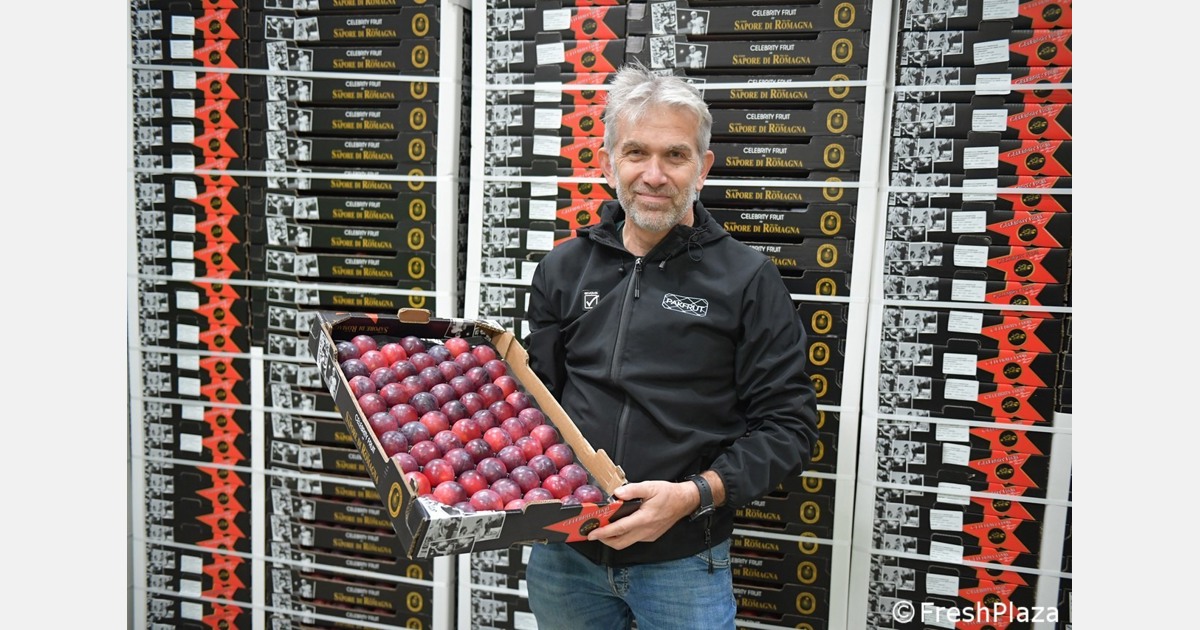 "The reopening of the Brazilian plum market is a positive return to the ...