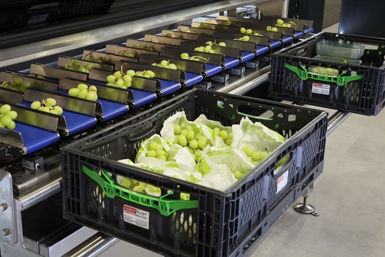 "A step up in table grape packaging"