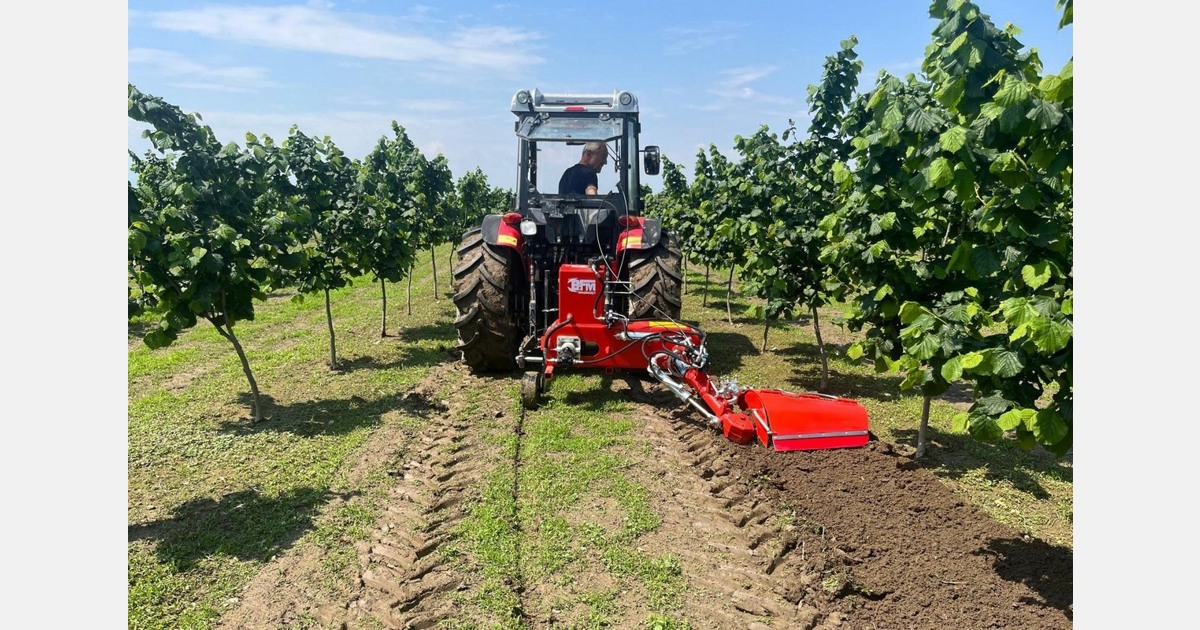 Inter-row tilling machines - an investment that regenerates the soil ...