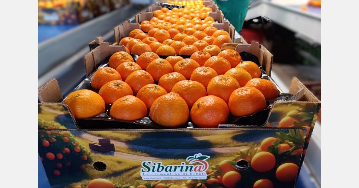 Increase in production and a sharp rise in demand from abroad