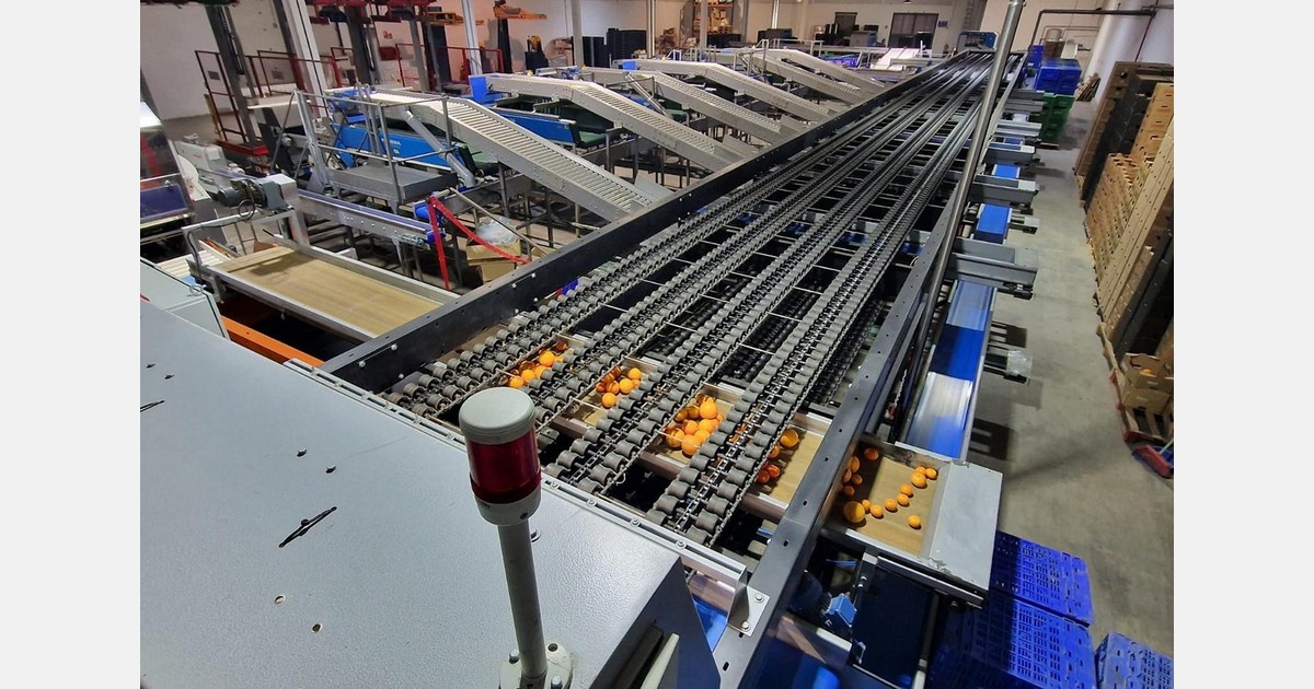 Global availability of new and used grading and sorting tech