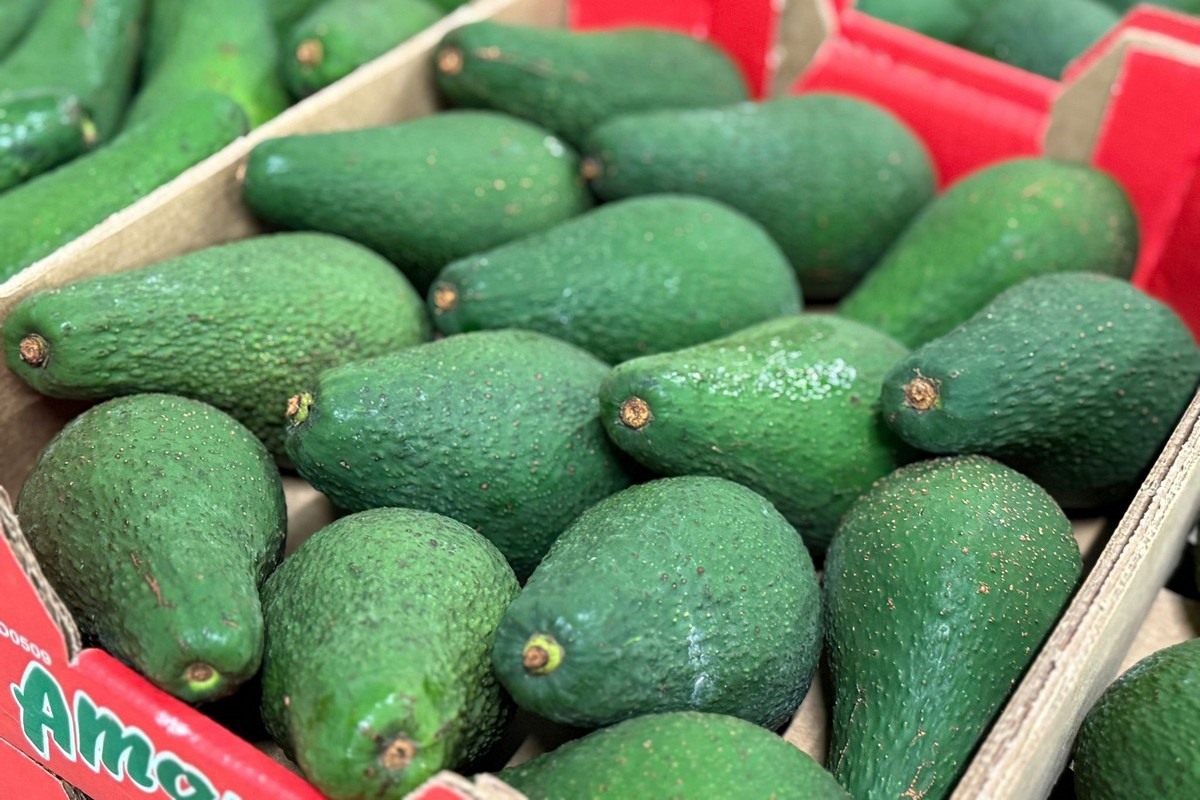 Hass market slumps under pressure from Peruvian volumes