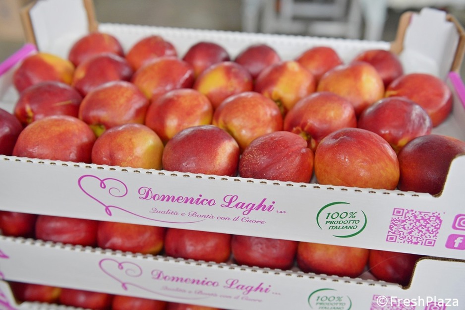 Demand remains high for apricots, peaches, and nectarines