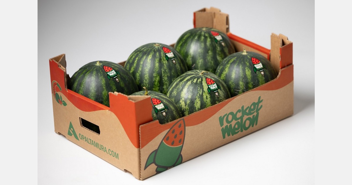 Rocket Melon, the new brand dedicated to watermelons