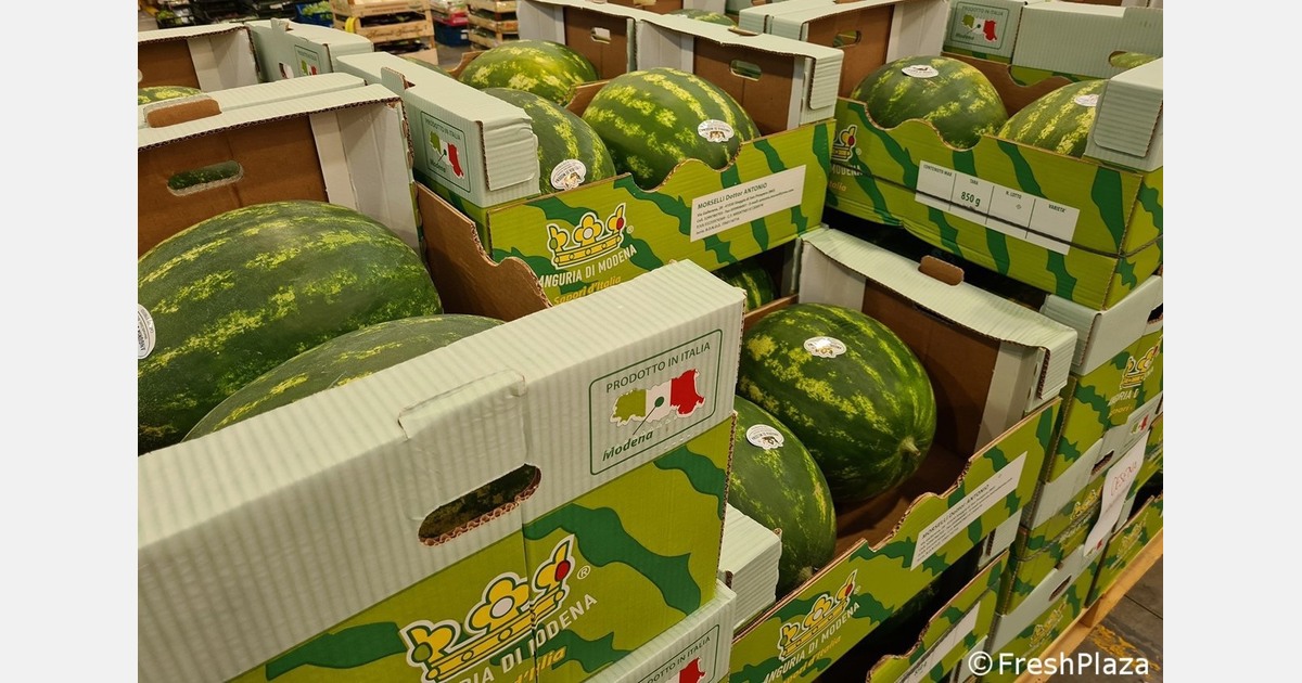 Watermelon prices remain strong