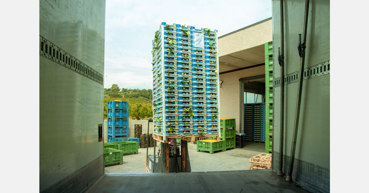 Lively lemon market due to drop in production