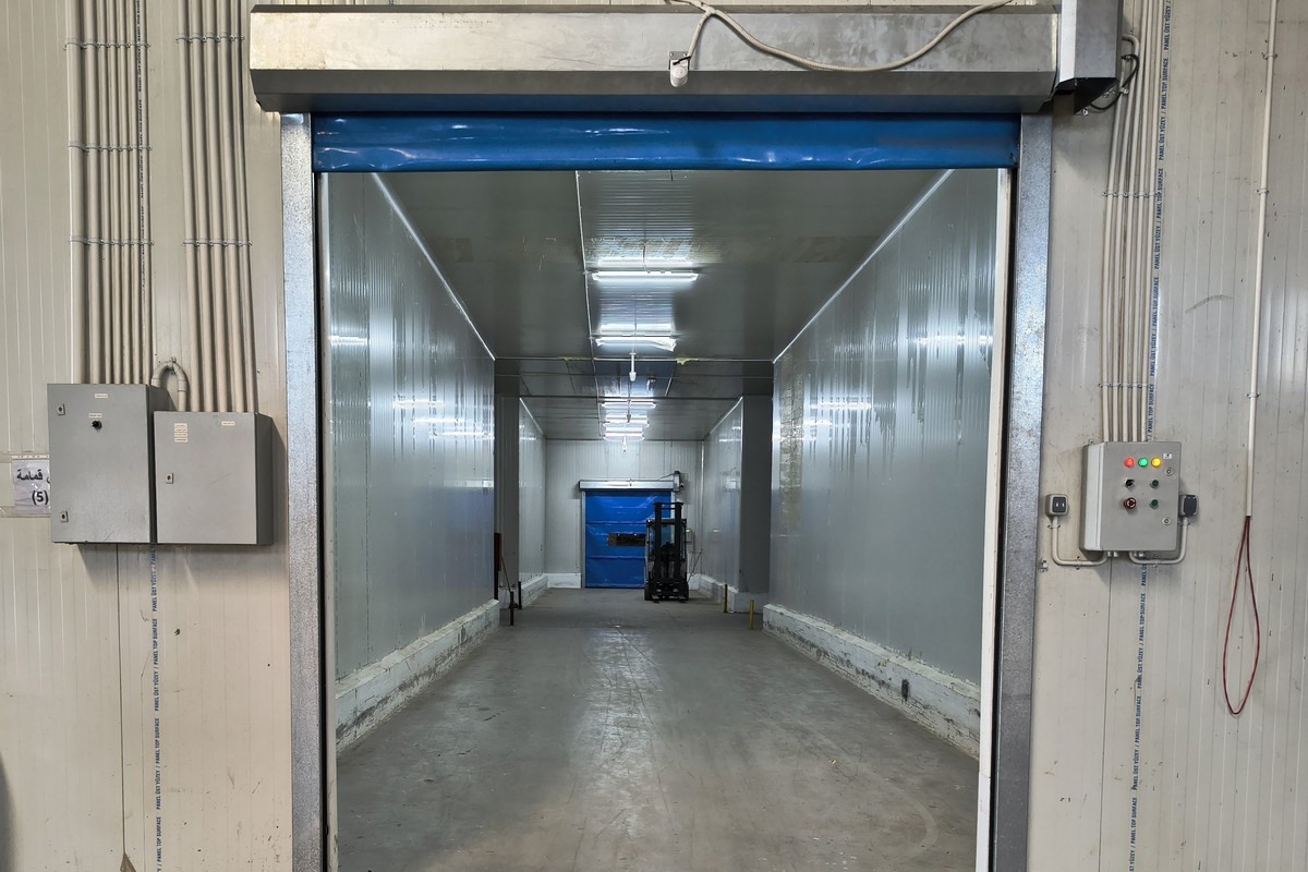 Direct access to Egyptian fruit and vegetables in Italy