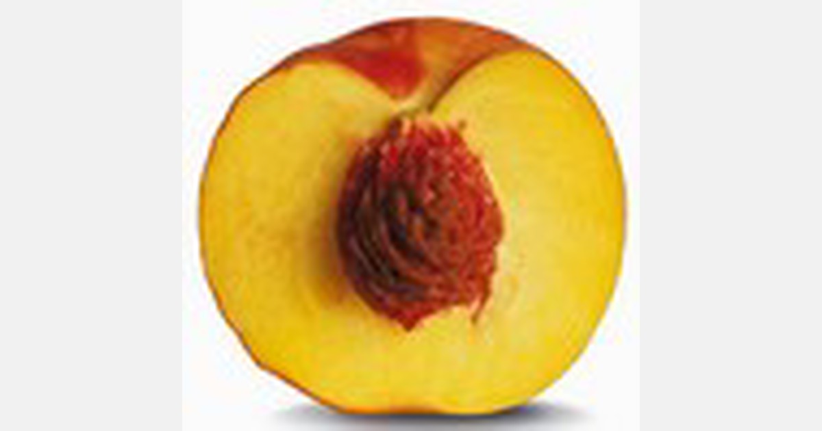 Italian: peach and nectarine campaign started in South
