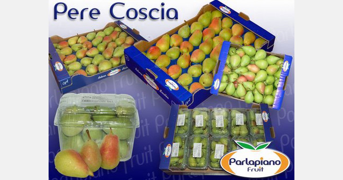 Italy: Coscia pear campaign starts at Parlapiano Fruit