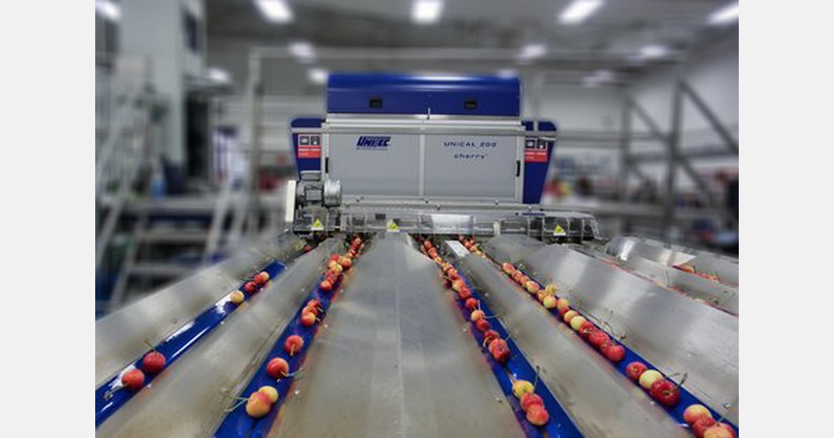 Unitec new technologies for sorting and packing fresh fruit and vegetables