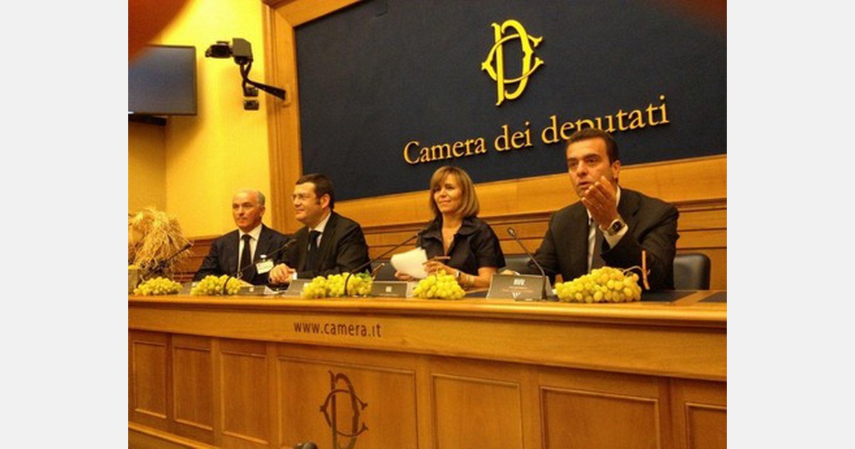Italy: We brought out Regina grapes to Palazzo Montecitorio