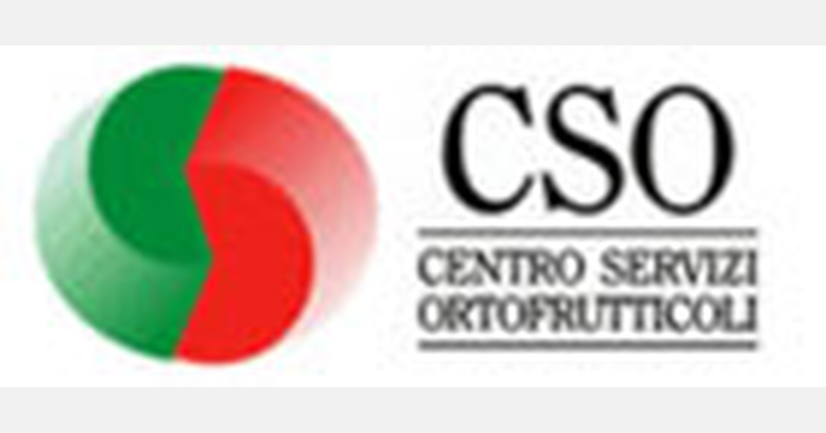 Italy: Finance police investigating CSO funding
