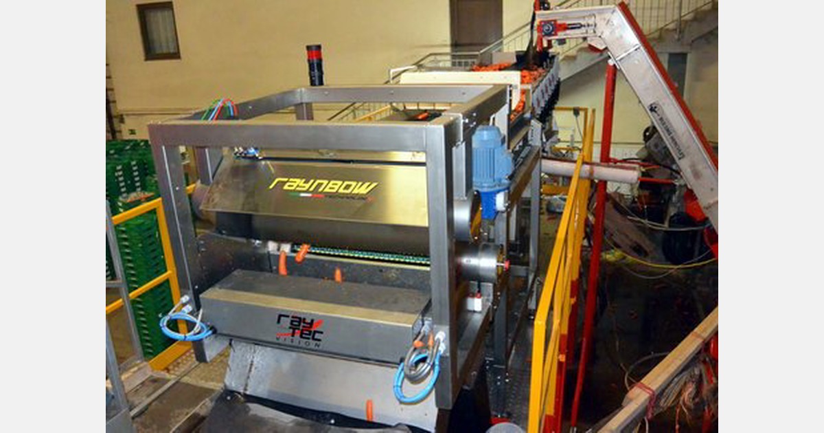 Italy: Raytec Vision installs over 50 sorters
