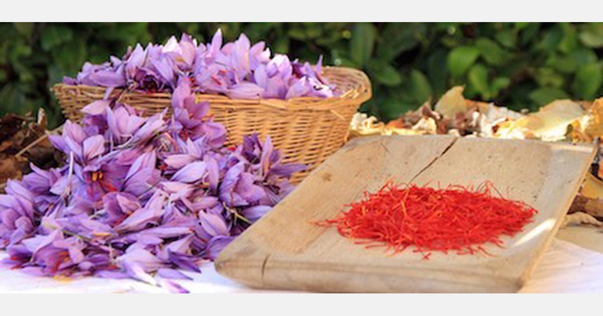 Maximum security Iranian bank to safeguard saffron