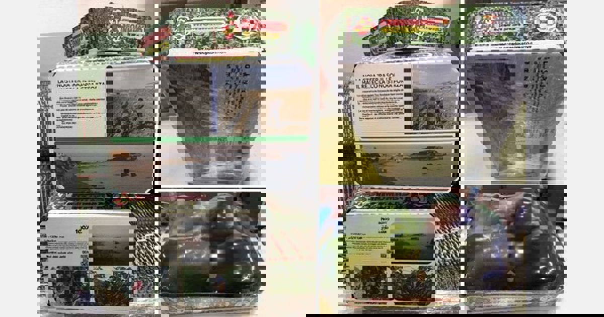 Italy: Digital print trays for peppers