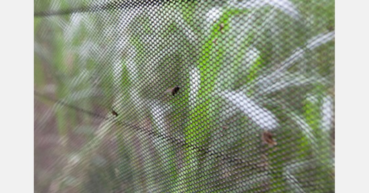 ZeroFly ® nets against brown marmorated stink bug