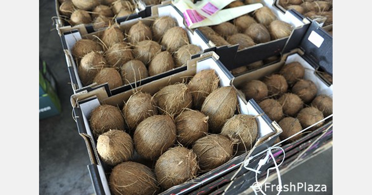 Italy: Coconuts are the summer fruit per excellence