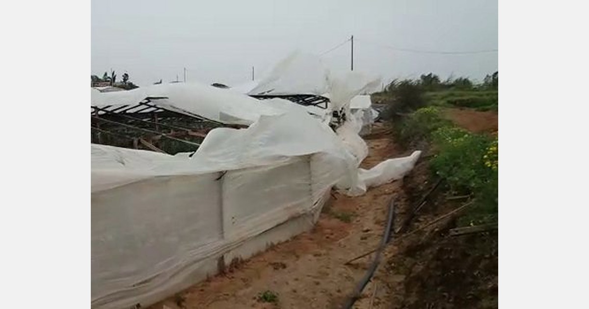 Strong winds destroy greenhouses in Sicily
