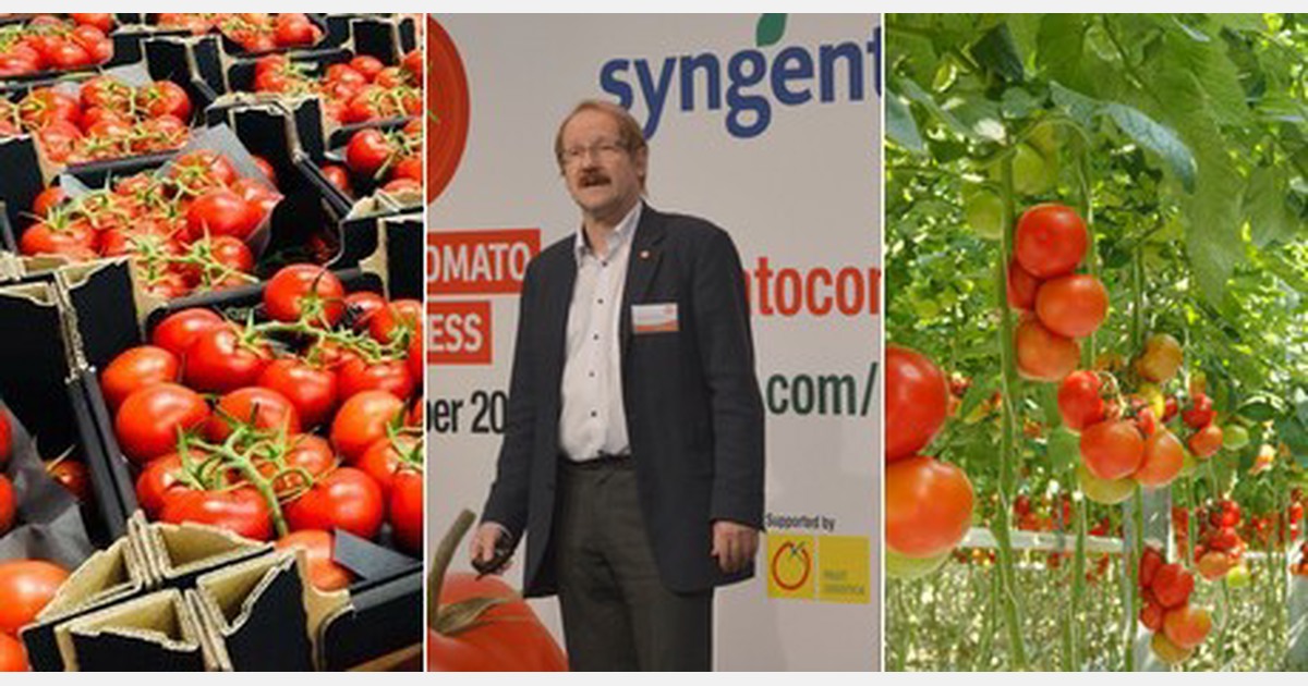 Tomato cultivation grows faster in North West Europe than in the South