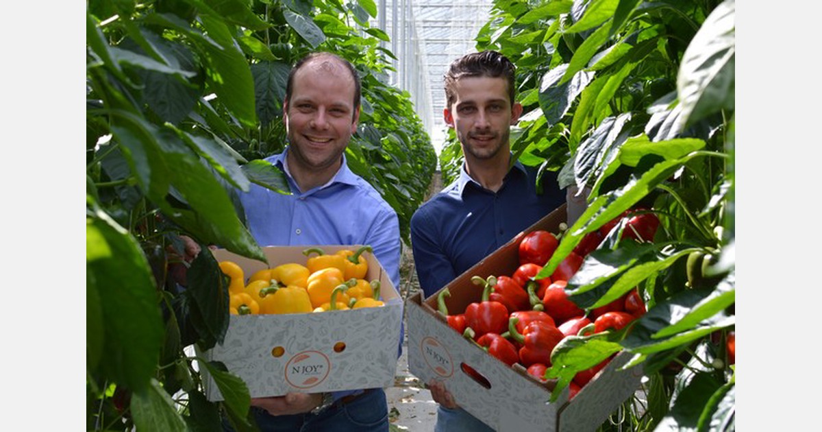 Recognisable own vegetable brands ensure growth in more than just peppers