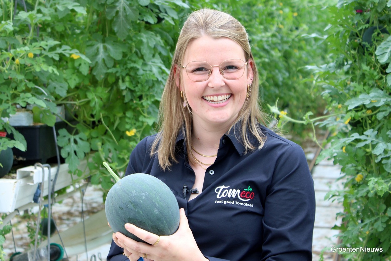 Tomélon mini watermelon returns to supermarket shelves