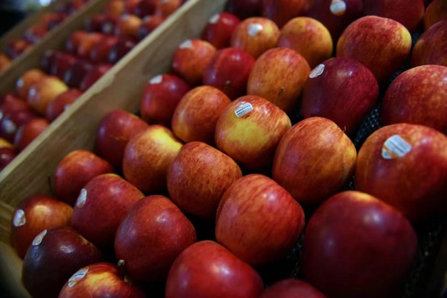 Dashang Group: "The domestic supply of cherries will reach 60 tons ...