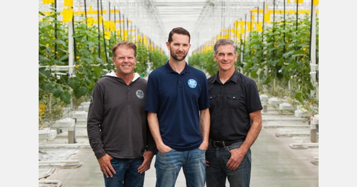 Big Marble Farms expansion: 10 acre greenhouse and 6MW cogeneration ...