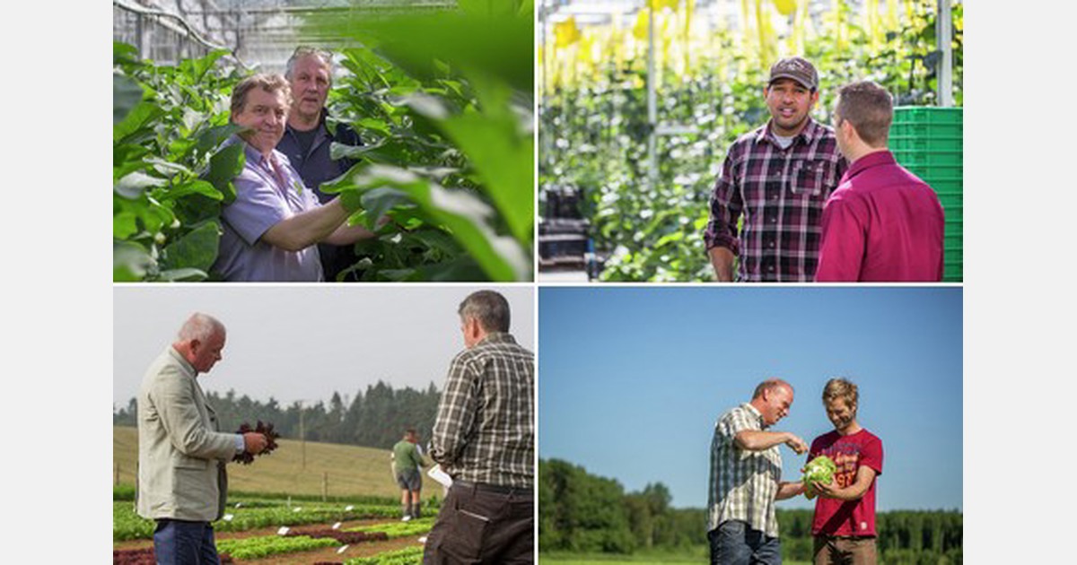 Rijk Zwaan focuses on cooperation with organic partners