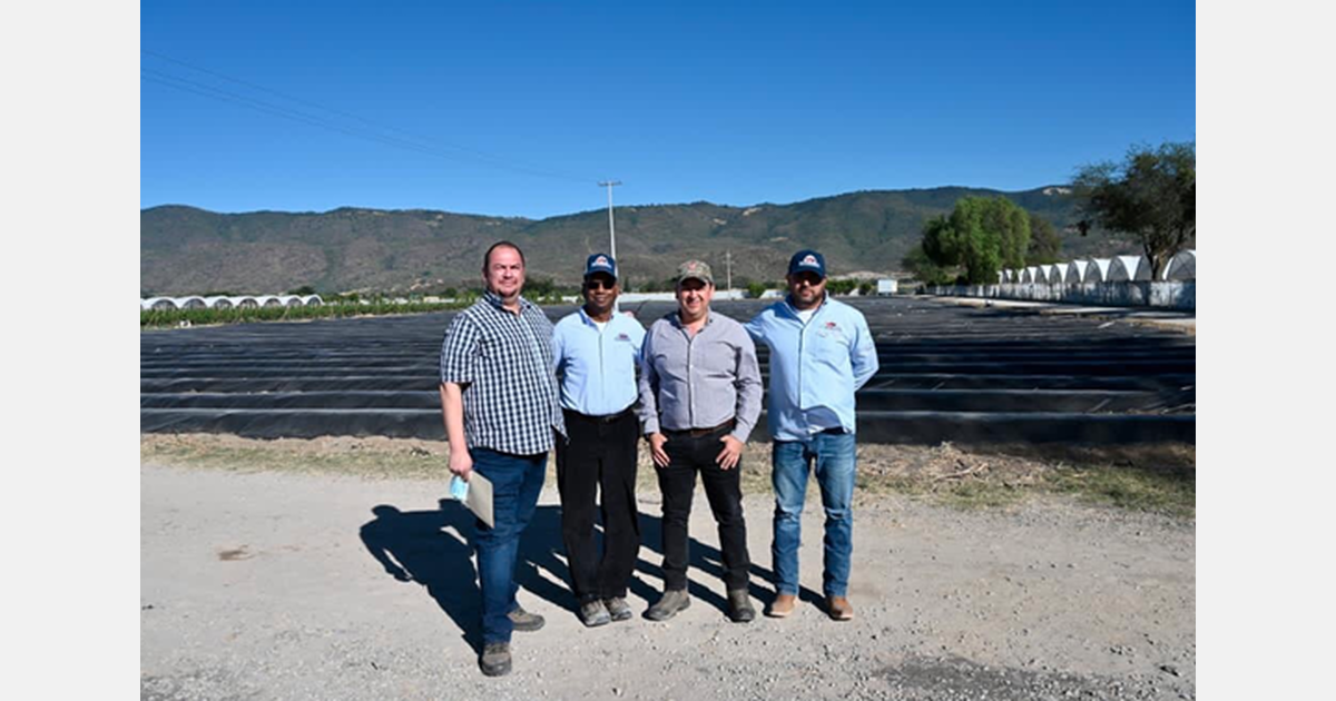 Fibredust subsidiary FD Berries expands with acquisition