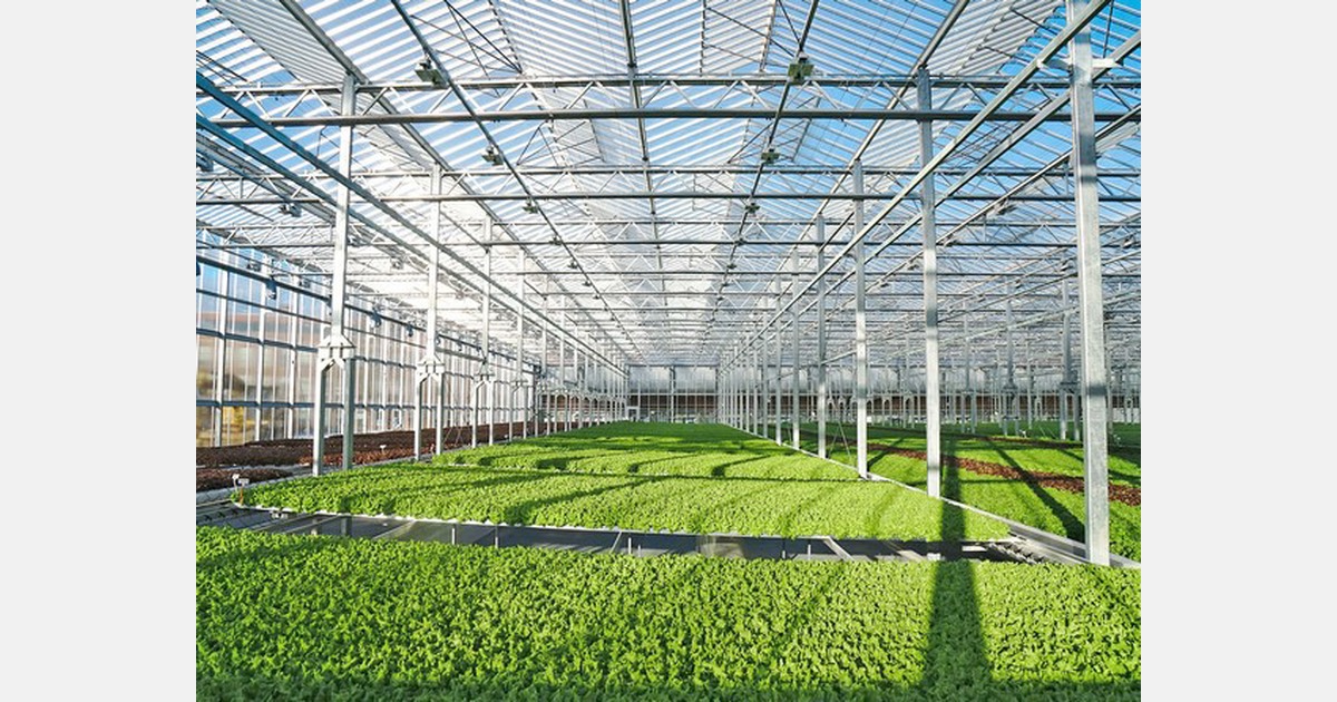 Gotham Greens partners with university of California