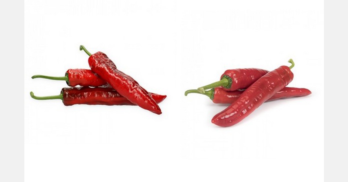 Meet the newest members of the Sweet Palermo family